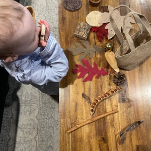 Honeycomb Bumblebee Counting Sensory Bin, Preschool Math, Montessori ...