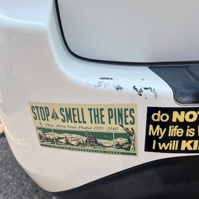 Civilian Conservation Corps Legacy Bandana CCC - Etsy