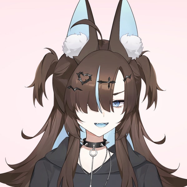 Custom Vtuber Live2d Model: Design, Rigging, and Fan Art Commission - Etsy