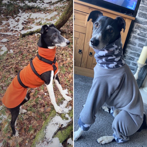 Greyhound Pyjamas, Greyhound Clothing, Greyhound, Dog Pyjamas, Whippet ...