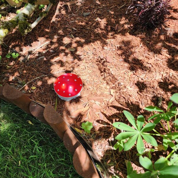 Dome-style Garden Slug Trap. Decorative Trap to Protect Flowers and ...