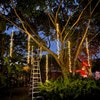 110V Plug-in - Beautiful Hanging Lights for All Events - Tree Hanging ...