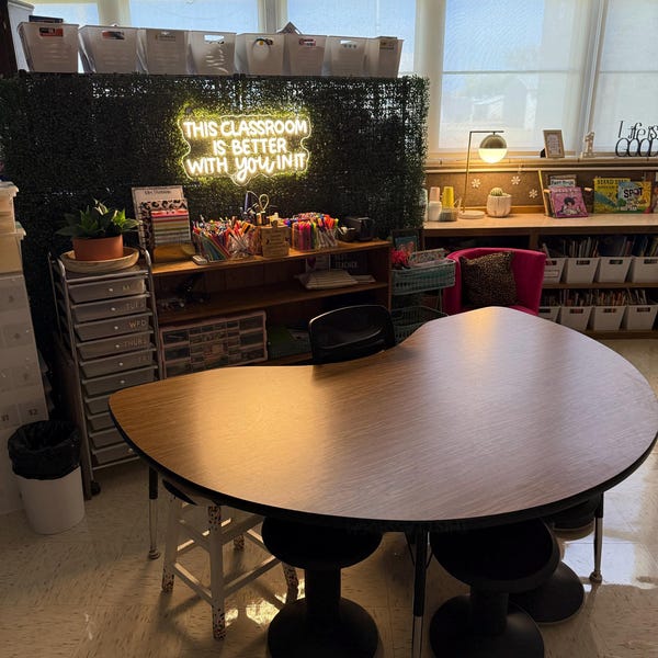 Teacher Name Neon Sign for Classroom, in This Classroom Neon Sign ...