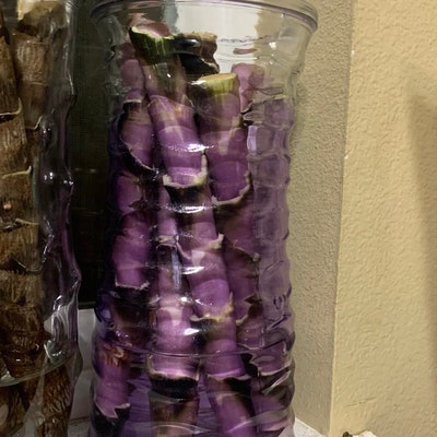 5 Bele Abelmoschus Manihot Edible Hibiscus Tonga Spinach Cuttings FROM ...