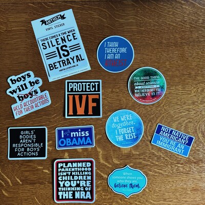 Chewie is My Co-pilot Oval Bumper Sticker - Etsy