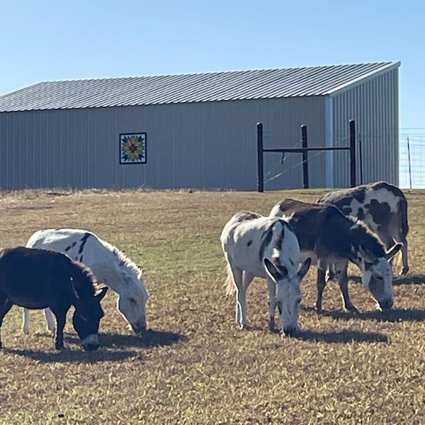 Chickadee Barn Quilt With Wood Effect, Large, Medium, Small, Vinyl on ...