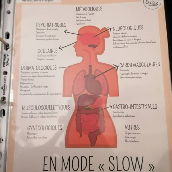 EN Lung Auscultation and Oxygen Therapy, Nursing Reference Cards ...