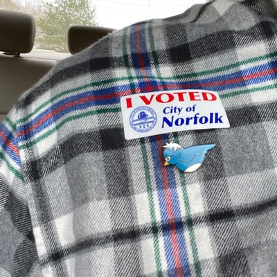 Bernie Sanders Pin Badge Birdie 2020 Revolution Not - Etsy