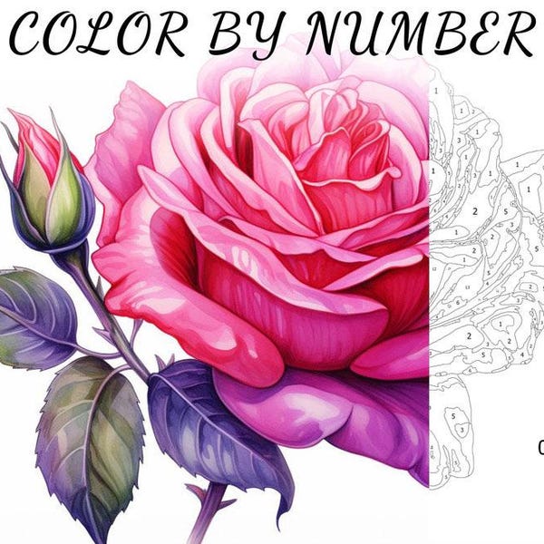 BUNDLE 230+ Color by Number, Paint by Number, Paint Number Adult ...