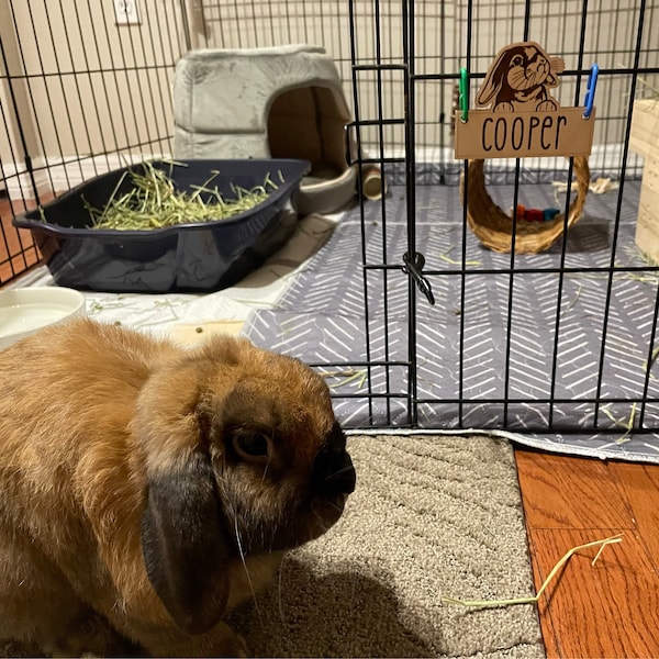 Bunny Rabbit Cage Tag, Personalized, Custom, Engraved Wood, Pet Rabbit ...