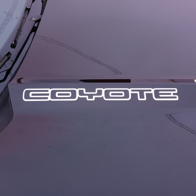 Mustang GT 2-tone Coyote Decal pair - Etsy