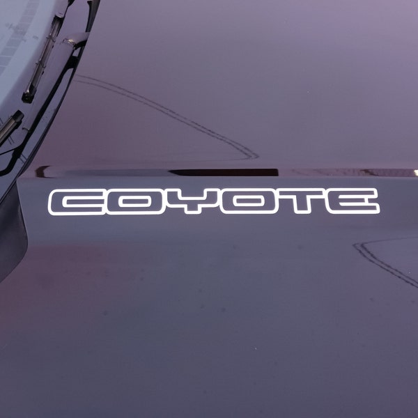 Mustang GT 2-tone Coyote Decal (pair) - Etsy