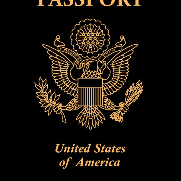 7 Mini Courses Html Css Javascript Bootstrap Java Sql And Python Etsy