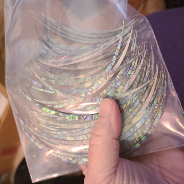 100 Colorful Abalone Pieces - Etsy