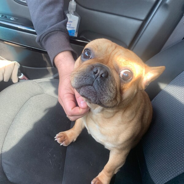 Treasure Cob Style Pirate Challenge Coin With Freemason Masonic ...