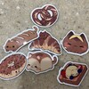 Bread Cat Sticker Set | Cute Cat Sticker Waterproof Durable Stickers ...