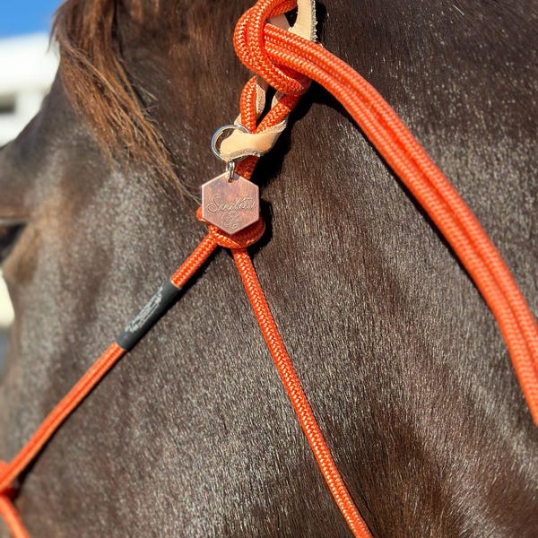 Custom Bridle Tag, Halter Tag, Horse Name Tag, Gift for Horse Lover ...