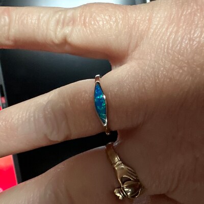 Moon Snail Shell Tanea Lineata 24k Gold Plated Trim Pendant Sea Pendant ...