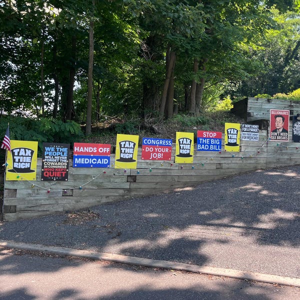 Defend the Constitution 20x30 Protest Sign Fight Fascism Impeach Trump ...