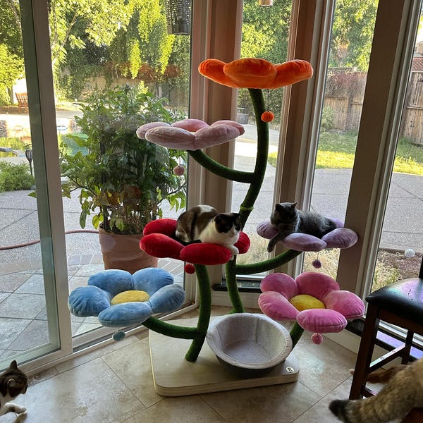 HEXAFLORA Wood Floral Cat Tree Tower, Wooden Cat Tower, Modern Cat ...