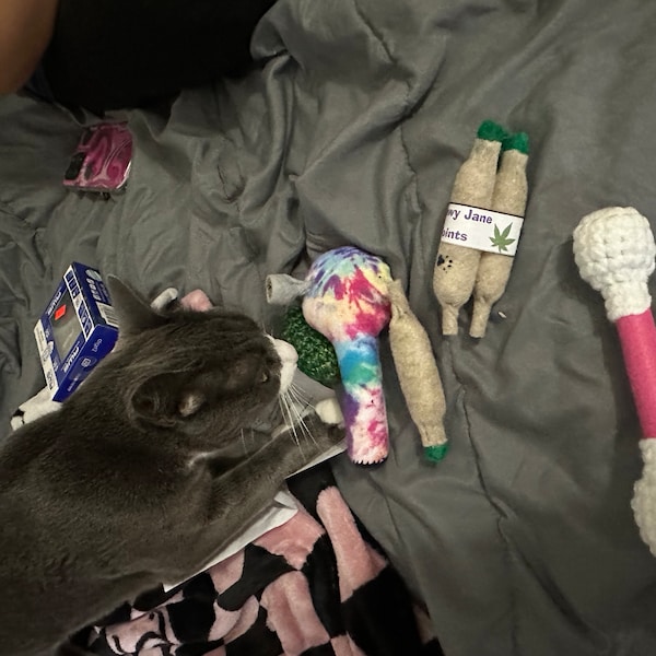 Cat Toys - Felt Catnip Joints - Set of 3 - Available in Catnip ...