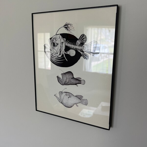 Angler Fish Skeleton - Scientific Anatomy Drawing - OE-01 Fine Art ...