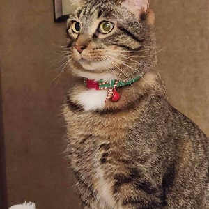 Pink Roses Cat Collar With Bell Cat Breakaway Collar Custom - Etsy