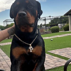 New Rapper DMX Pendant 5mm/24 Cuban Chain Hip Hop Fashion Necklace - Etsy