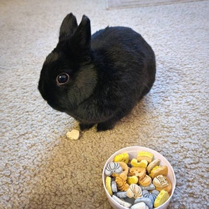 Bunny O's Cereal Treat Rabbit Fruit Loops Inspired Treat - Etsy