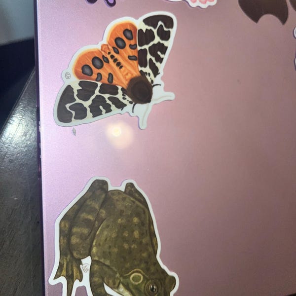 Sable Moth Acrylic Pin, Pins, Acrylic Pin, Moth Pin, Insect Pin ...