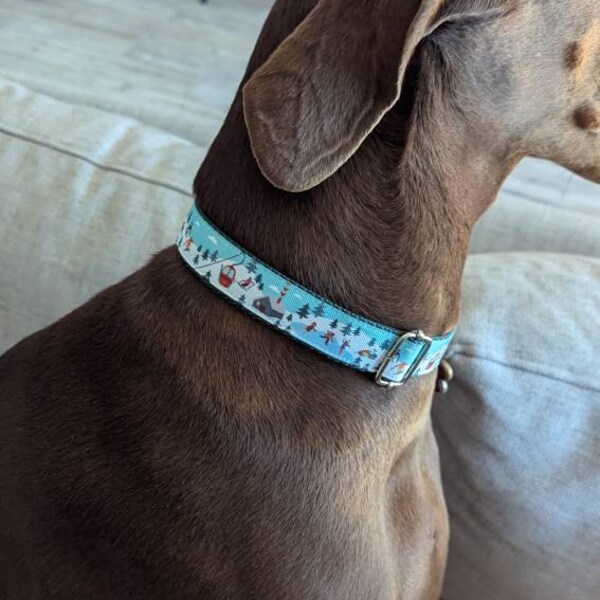 Royal Blue and White Stripes Dog Collar, Striped Dog Collar, Everyday ...