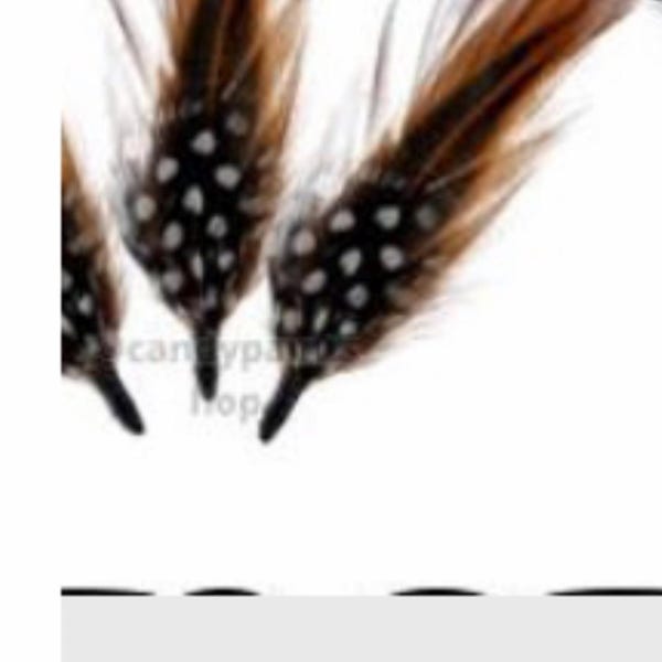 12 Inch Custom Feathers Stetson Lowrider Fedora Cowboy Hat Hand Painted ...