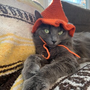 Dinosaur Hat for Cat Dinosaur Pet Costume Halloween Kitten | Etsy