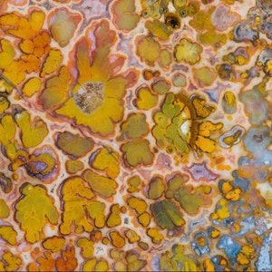 Orange Moss Agate Slabs, Agate Slabs for Lapidary, Metaphysical ...