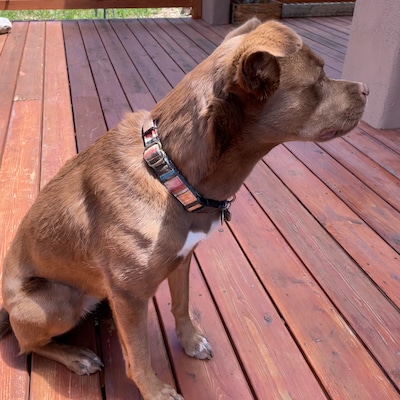 Dusty Rose Boho Guatemalan Dog Leash Mayan DESERT DAWN - Etsy