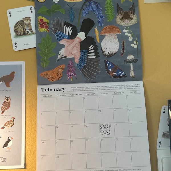 Recycled British Wildlife Habitats Calendar 2026 | Illustrated Daily ...