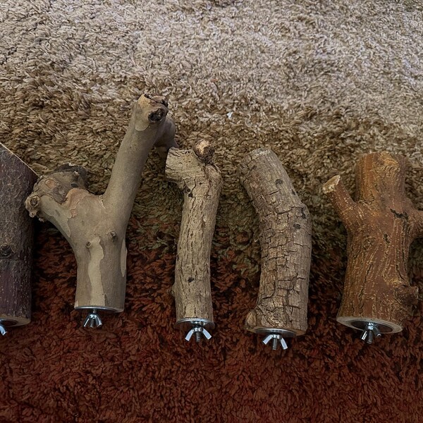 Grapevine Chew Sticks & Twigs - Etsy