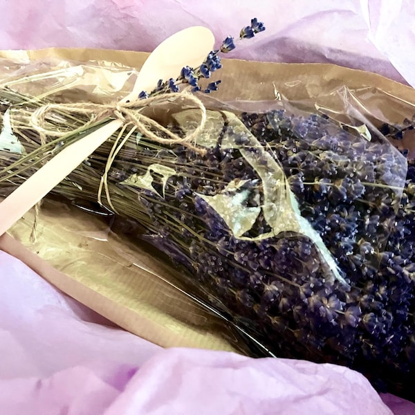 Dried Bunch of 100 Pencil Cattails, Mini Cattails, Fall Decor, Autmun ...