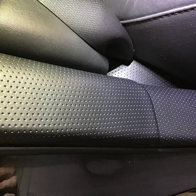 Ballard Designs WILLA PARCHMENT Exotic Bird Floral 100% Linen Drapery ...