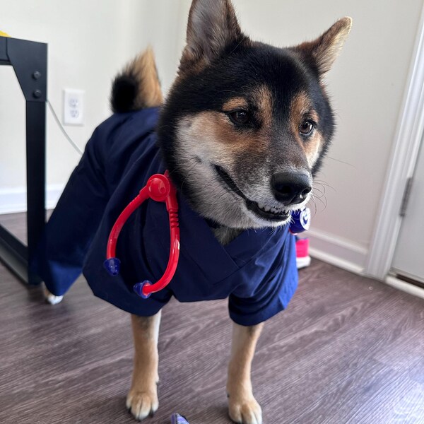 Dog Boy Nurse Scrubs Costume, Boy Dog Nurse Uniform, Puppy Boy Nurse ...