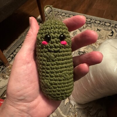PATTERN ONLY, Easy Pickle Crochet Pattern, Instant DOWNLOAD - Etsy
