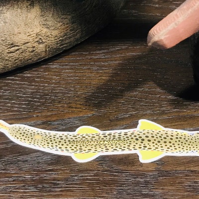 Brook Trout Pattern Flank Decal Sticker - Etsy