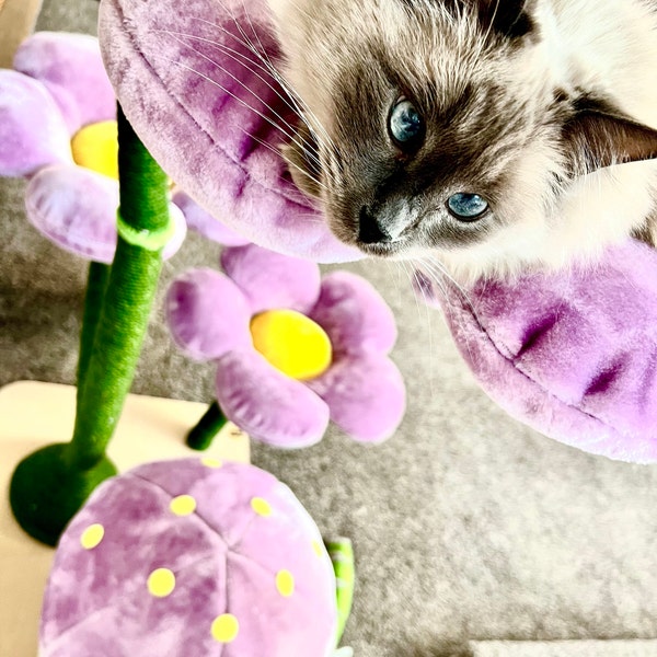 EDEN Wood Floral Cat Tree Tower, Wooden Cat Tower, Modern Cat Climbing ...