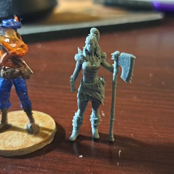 Half-orc, Female, Fighter/barbarian With Fur and Leather Armor, 2 ...