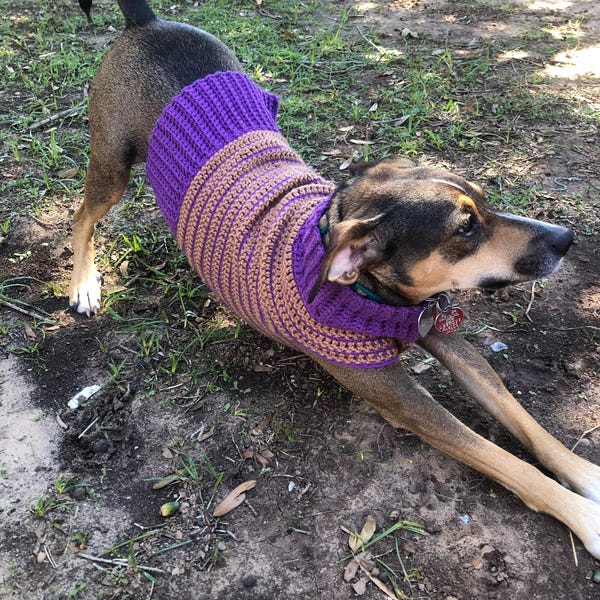 CROCHET PATTERN, Lottie and Lulus Crochet Dog Dress, Crochet Dog ...