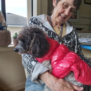 Dog Flight Jacket Red - Etsy