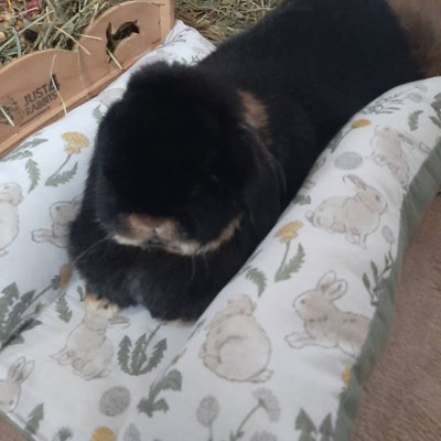 Bunny Cushion for Ikea Bed for Rabbits, Cats, Dolls, Pets - Etsy