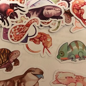 Boop a Snoot Ll Sticker Pack | Etsy