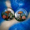 Mushroom Moss Ear Plugs Gauges Real Preserved Specimens in Resin ...