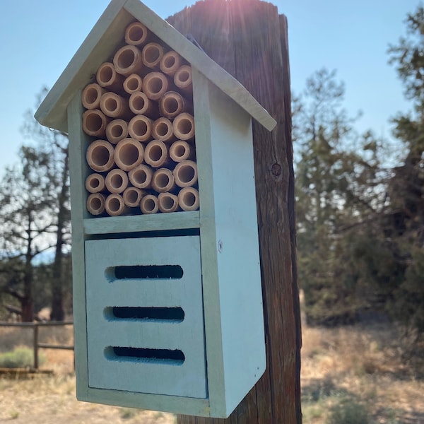 Sunny Pollinator House: 2-room Insect Hotel, Native Bee & Ladybug ...